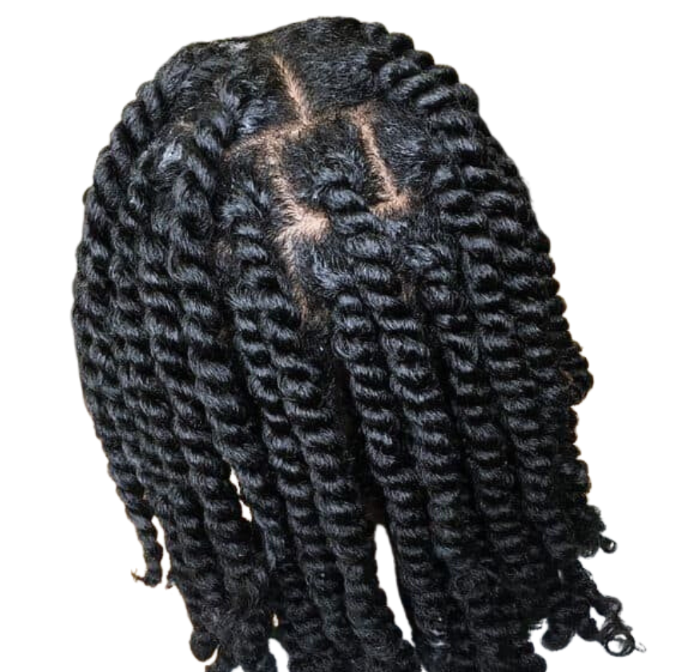 Two Strand Twist | Natural Hair Large Size | Pretoria Natural Hair ...